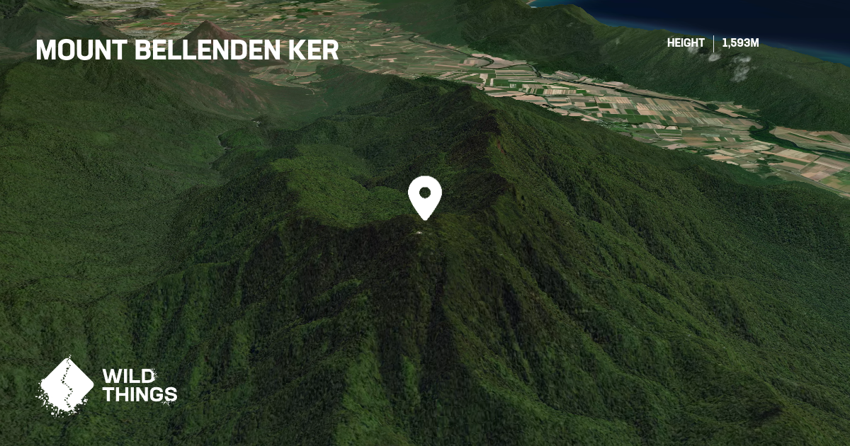 Mount Bellenden Ker, Queensland, Australia - Peak Directory - Wild Things