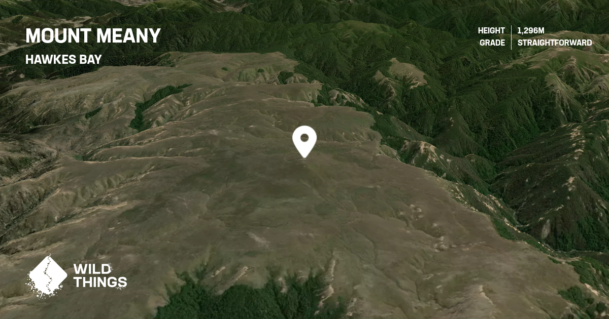 Mount Meany, Hawkes Bay, New Zealand - Peak Directory - Wild Things
