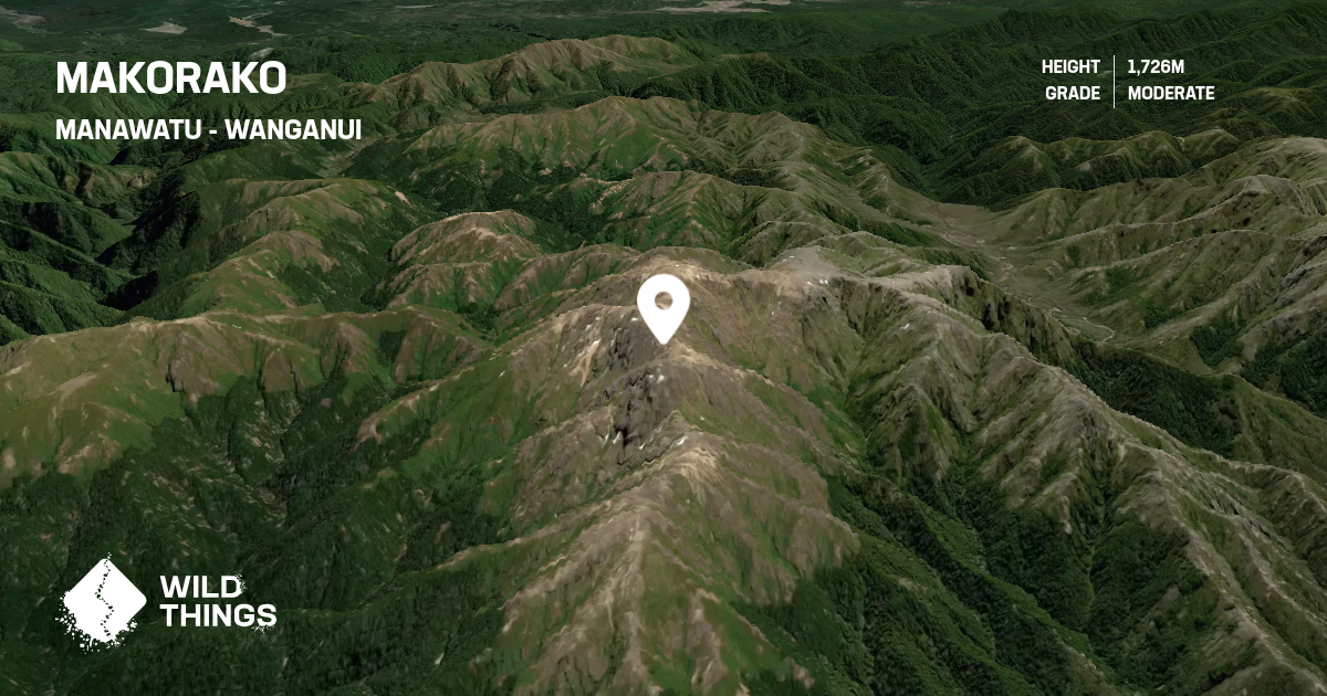 Makorako, Manawatu - Wanganui, New Zealand - Peak Directory - Wild Things