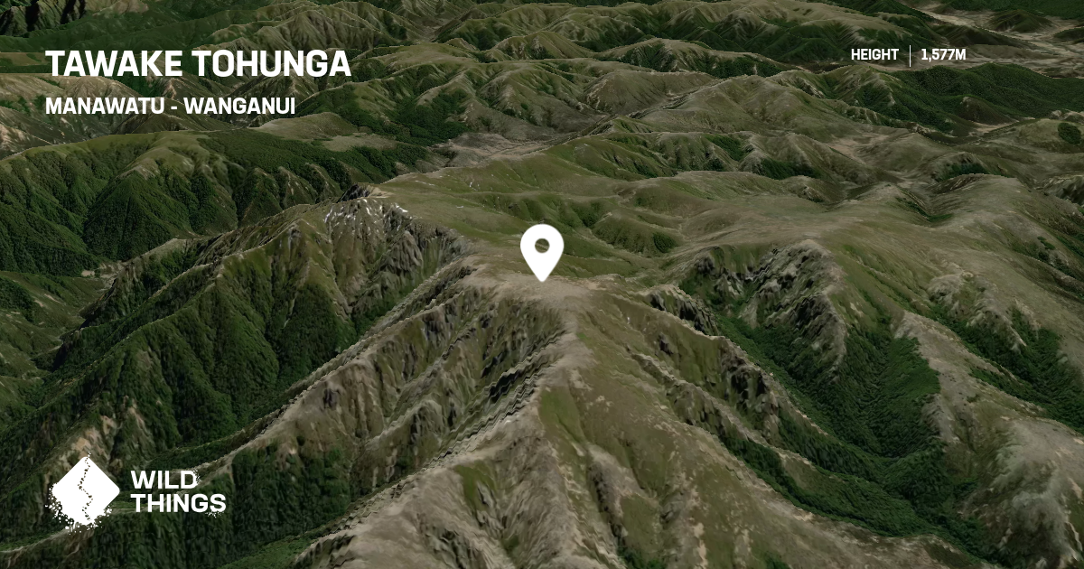 Tawake Tohunga, Manawatu - Wanganui, New Zealand - Peak Directory ...