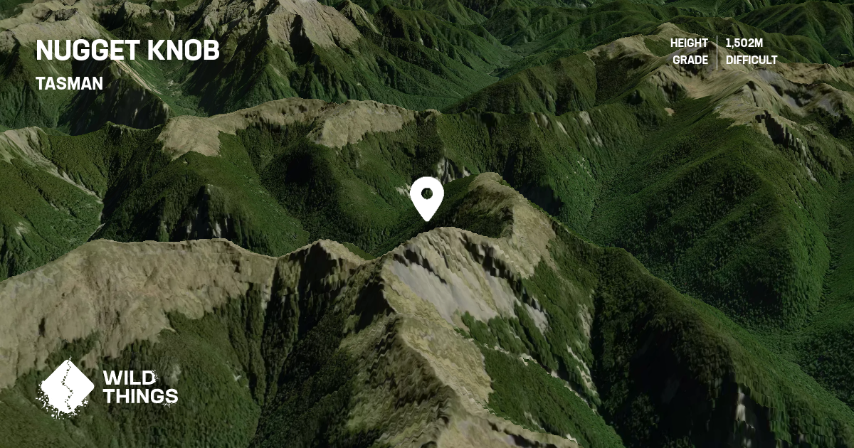 Nugget Knob, Tasman, New Zealand - Peak Directory - Wild Things