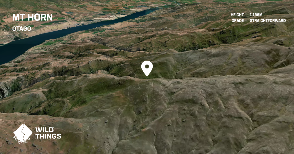 Mt Horn, Otago, New Zealand - Peak Directory - Wild Things