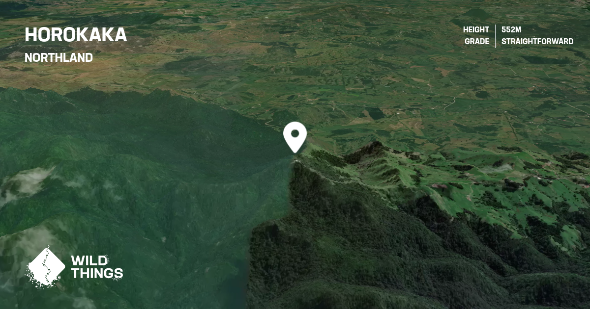 Horokaka, Northland, New Zealand - Peak Directory - Wild Things