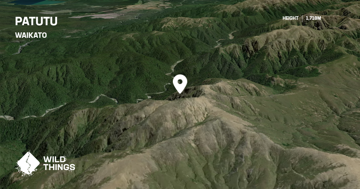 Patutu, Waikato, New Zealand - Peak Directory - Wild Things