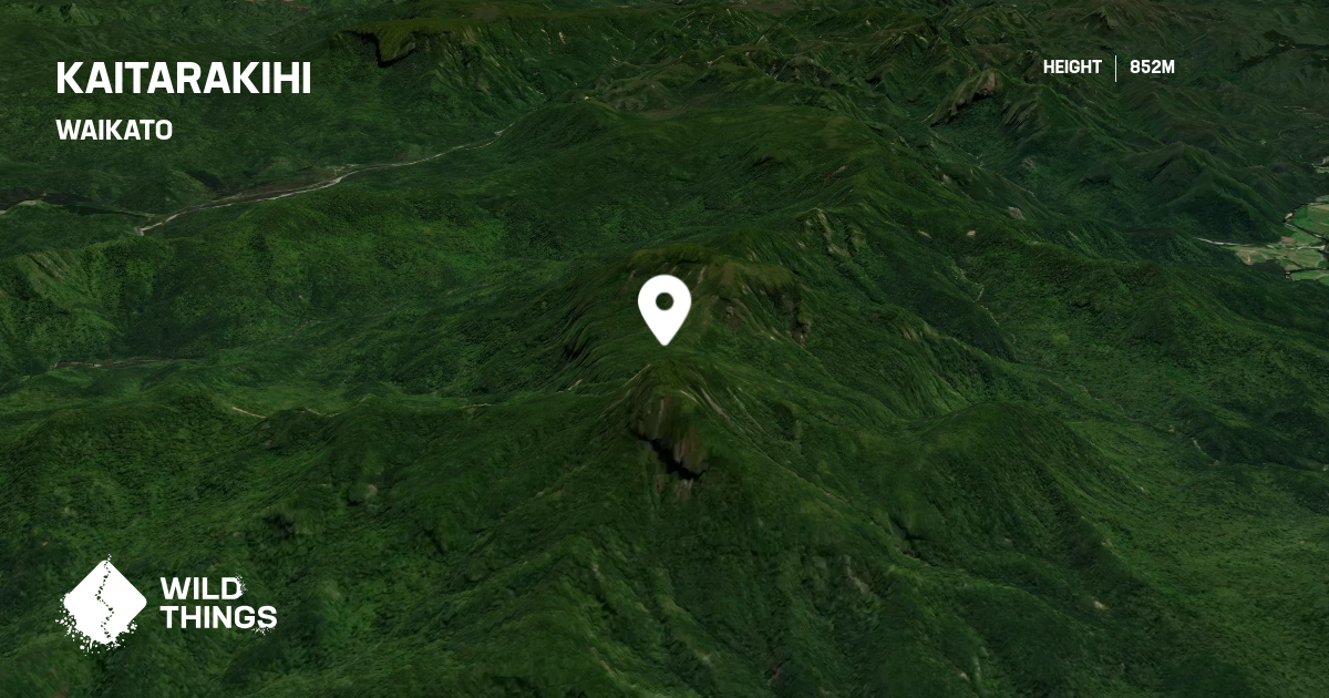 Kaitarakihi, Waikato, New Zealand - Peak Directory - Wild Things