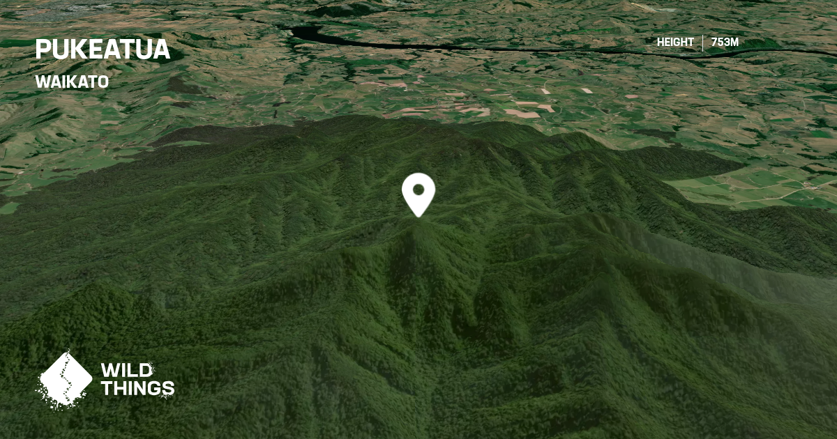 Pukeatua, Waikato, New Zealand - Peak Directory - Wild Things