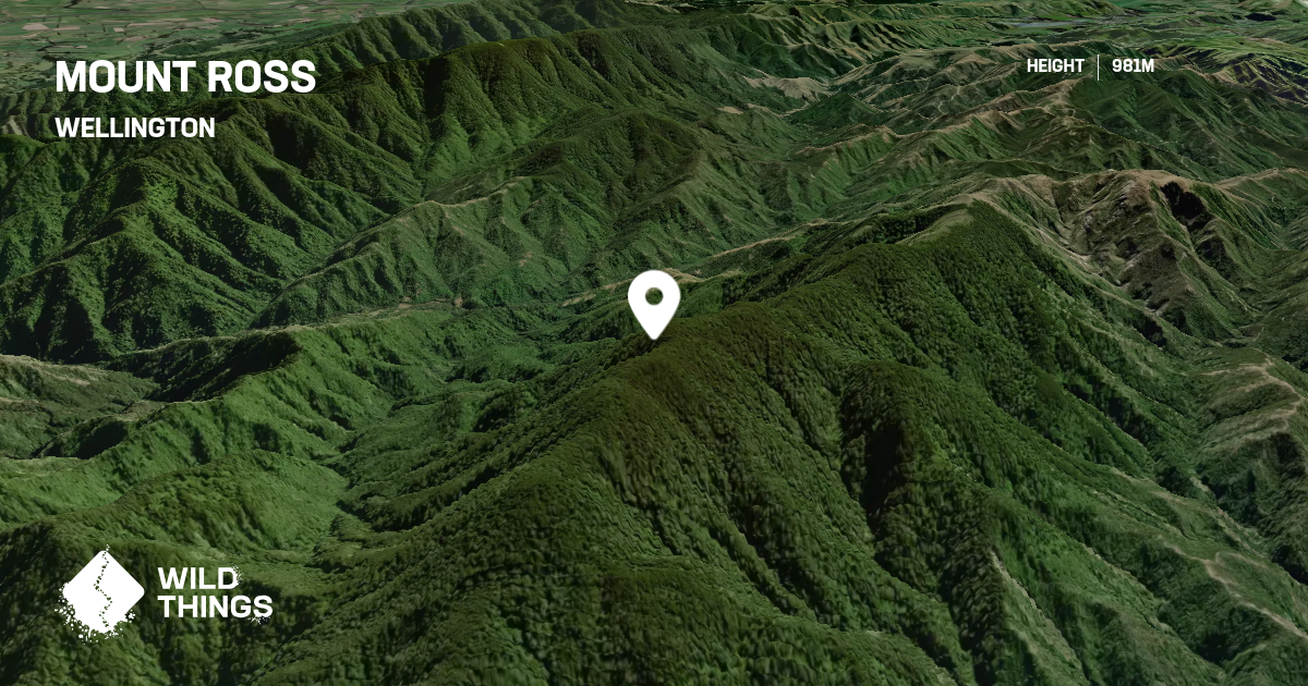 Mount Ross, Wellington, New Zealand - Peak Directory - Wild Things