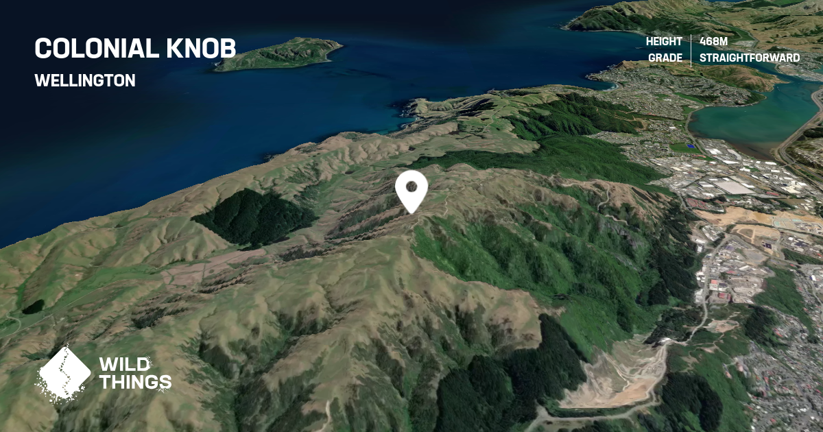 Colonial Knob, Wellington, New Zealand - Peak Directory - Wild Things