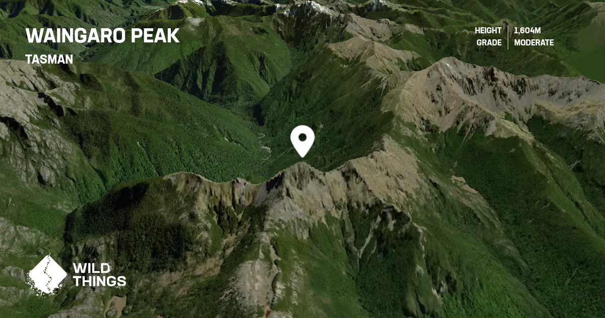 Waingaro Peak, Tasman, New Zealand - Peak Directory - Wild Things