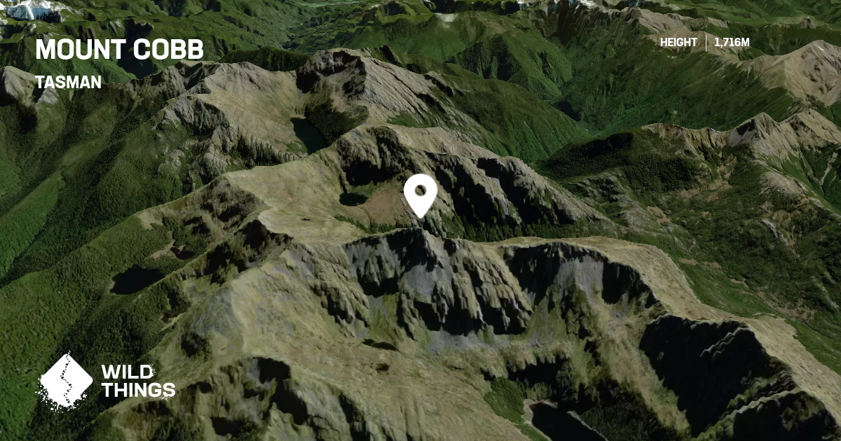 Mount Cobb, Tasman - Trail & Peak Directory - Wild Things
