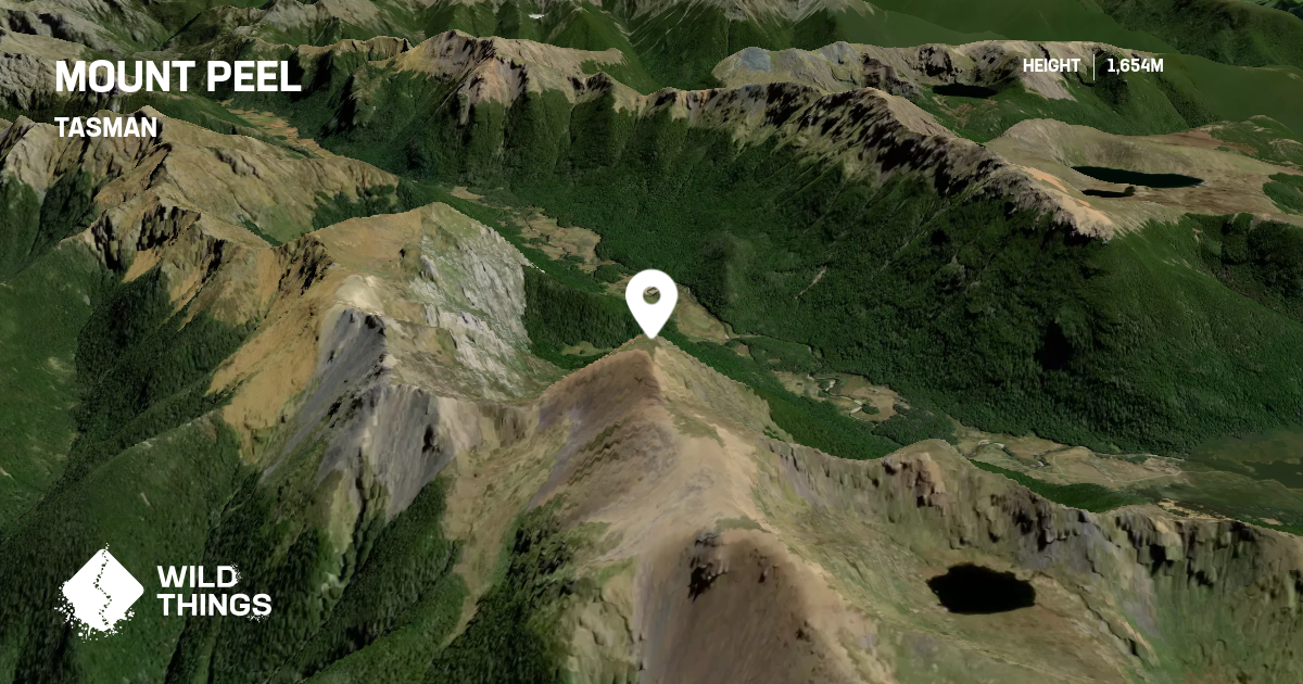 Mount Peel, Tasman, New Zealand - Peak Directory - Wild Things