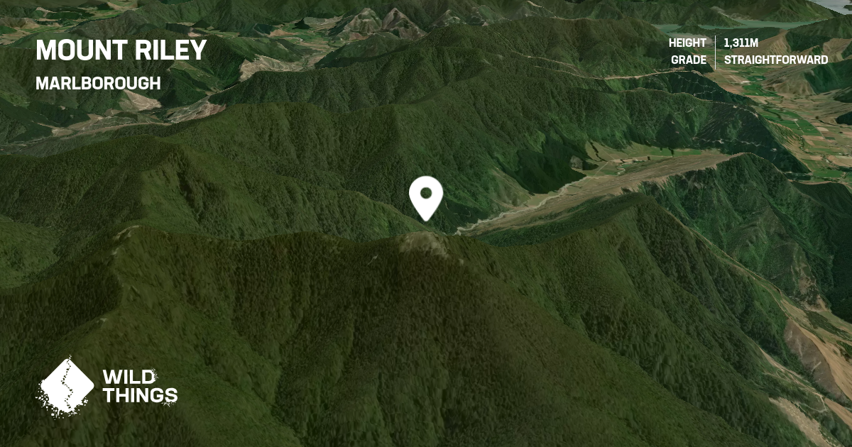 Mount Riley, Marlborough, New Zealand - Peak Directory - Wild Things