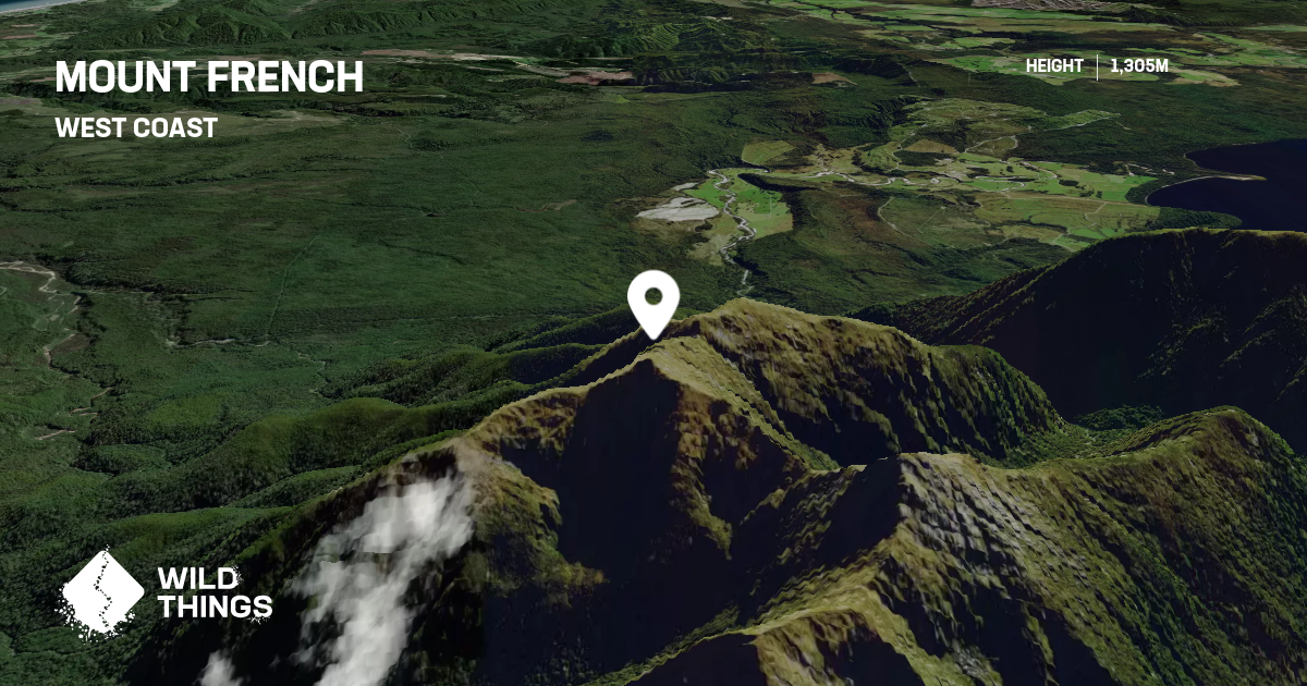 Mount French, West Coast, New Zealand - Peak Directory - Wild Things