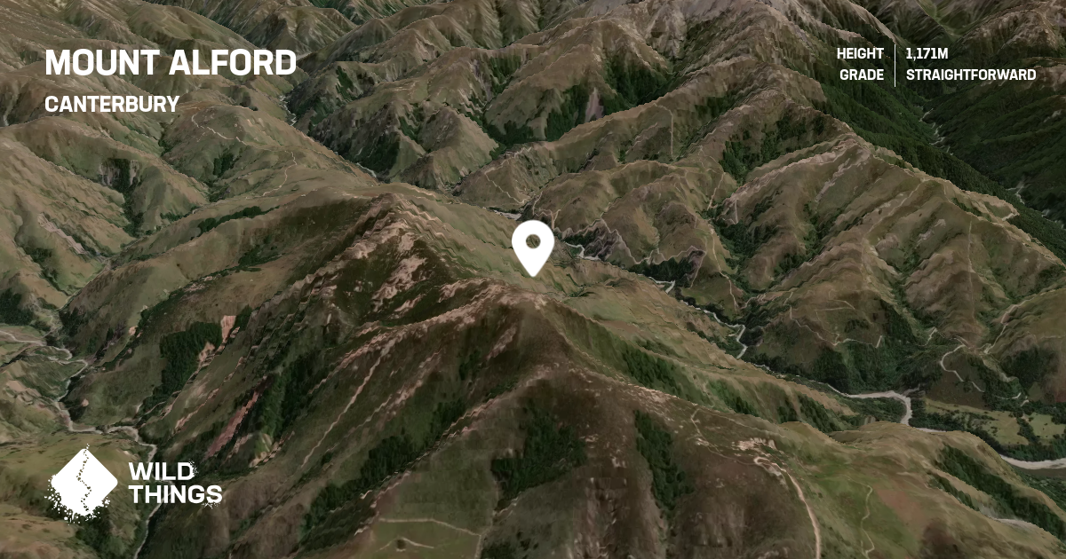 Mount Alford, Canterbury, New Zealand - Peak Directory - Wild Things