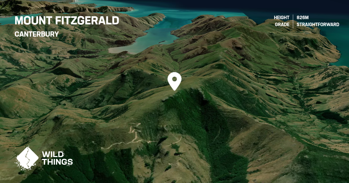Mount Fitzgerald, Canterbury, New Zealand - Peak Directory - Wild Things