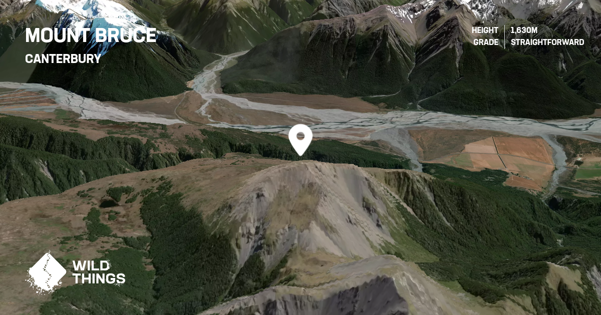 Mount Bruce, Canterbury, New Zealand - Peak Directory - Wild Things