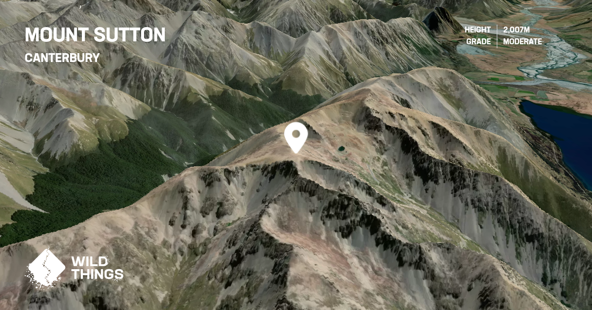 Mount Sutton, Canterbury, New Zealand - Peak Directory - Wild Things