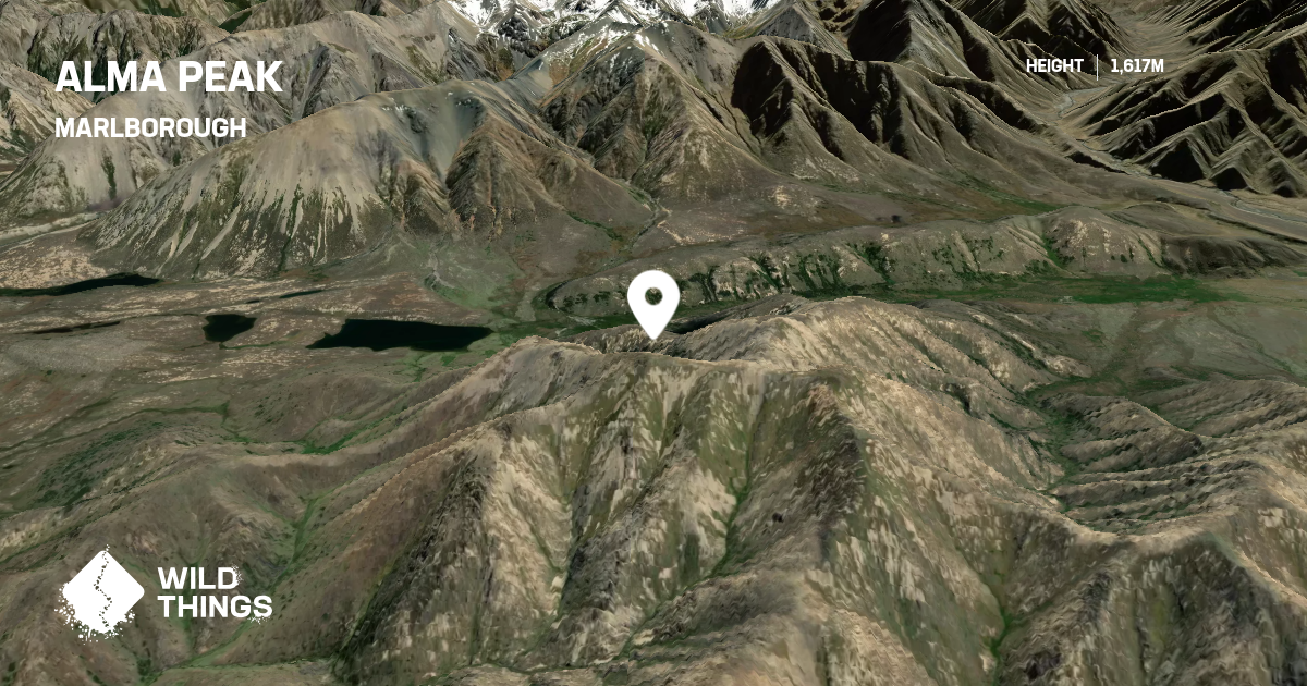 Alma Peak, Marlborough, New Zealand - Peak Directory - Wild Things