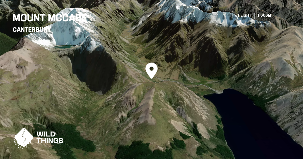 Mount McCabe, Canterbury, New Zealand - Peak Directory - Wild Things