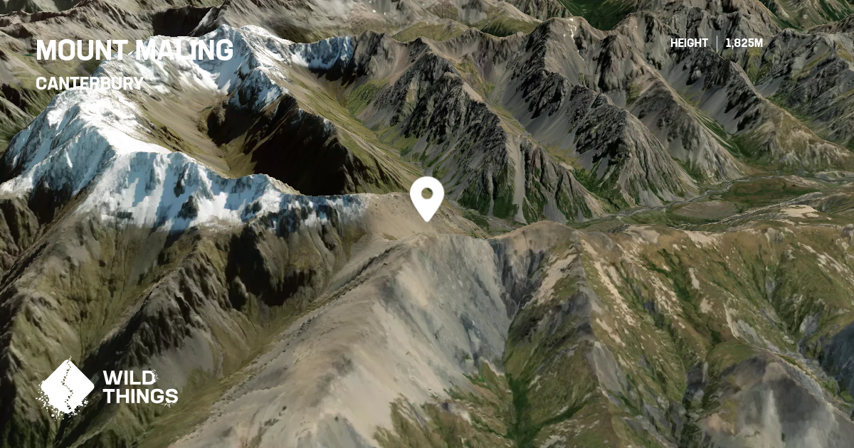 Mount Maling, Canterbury, New Zealand - Peak Directory - Wild Things