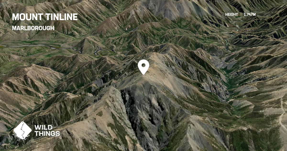 Mount Tinline, Marlborough, New Zealand - Peak Directory - Wild Things