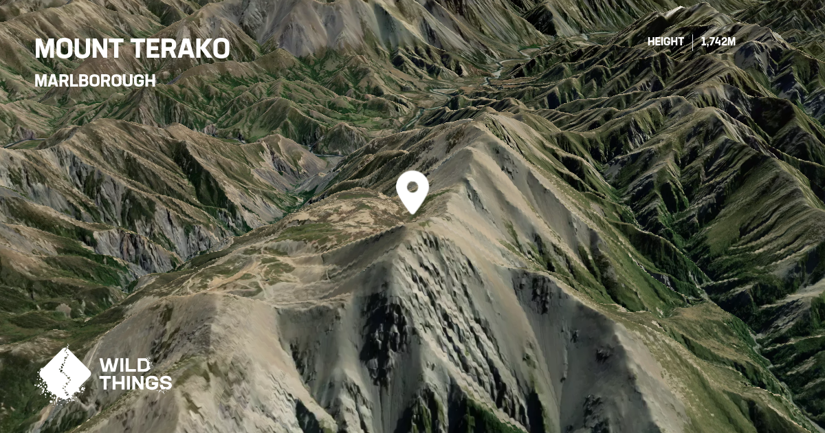 Mount Terako, Marlborough, New Zealand - Peak Directory - Wild Things