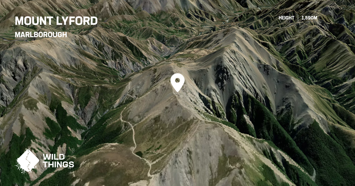 Mount Lyford, Marlborough, New Zealand - Peak Directory - Wild Things