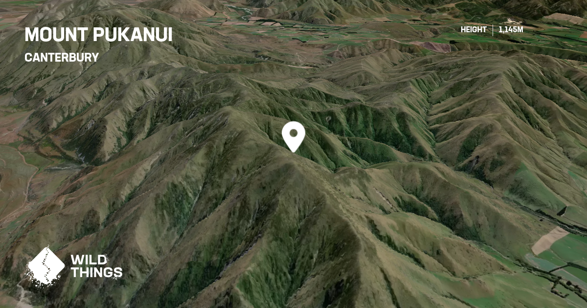 Mount Pukanui, Canterbury, New Zealand - Peak Directory - Wild Things