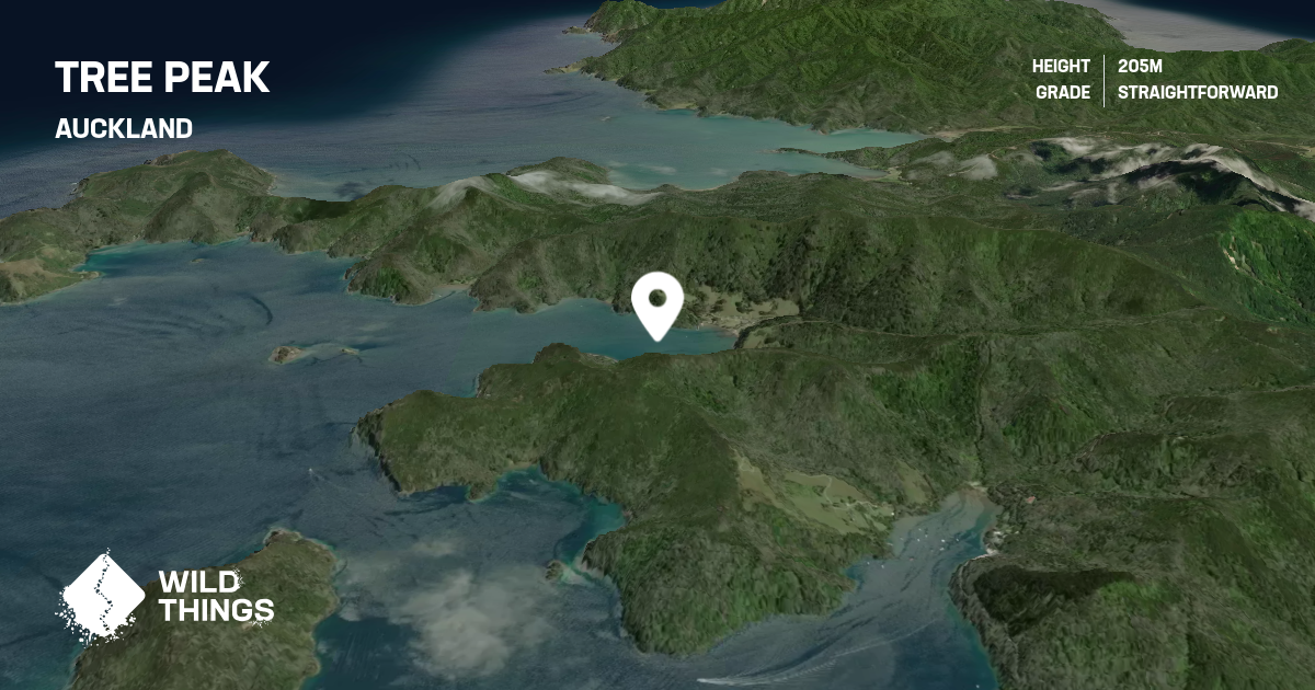 Tree Peak, Auckland, New Zealand - Peak Directory - Wild Things