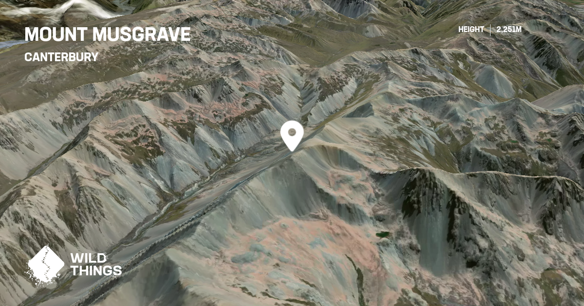 Mount Musgrave, Canterbury, New Zealand - Peak Directory - Wild Things