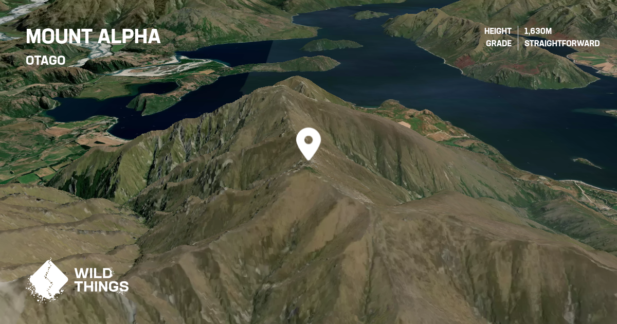 Mount Alpha , Otago, New Zealand - Peak Directory - Wild Things