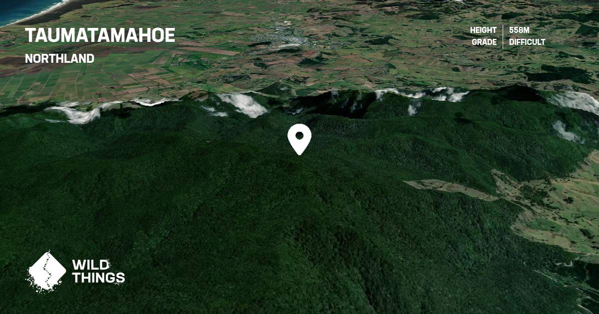 Taumatamahoe, Northland, New Zealand - Peak Directory - Wild Things