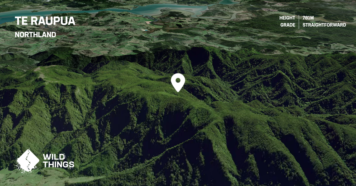 Te Raupua, Northland, New Zealand - Peak Directory - Wild Things