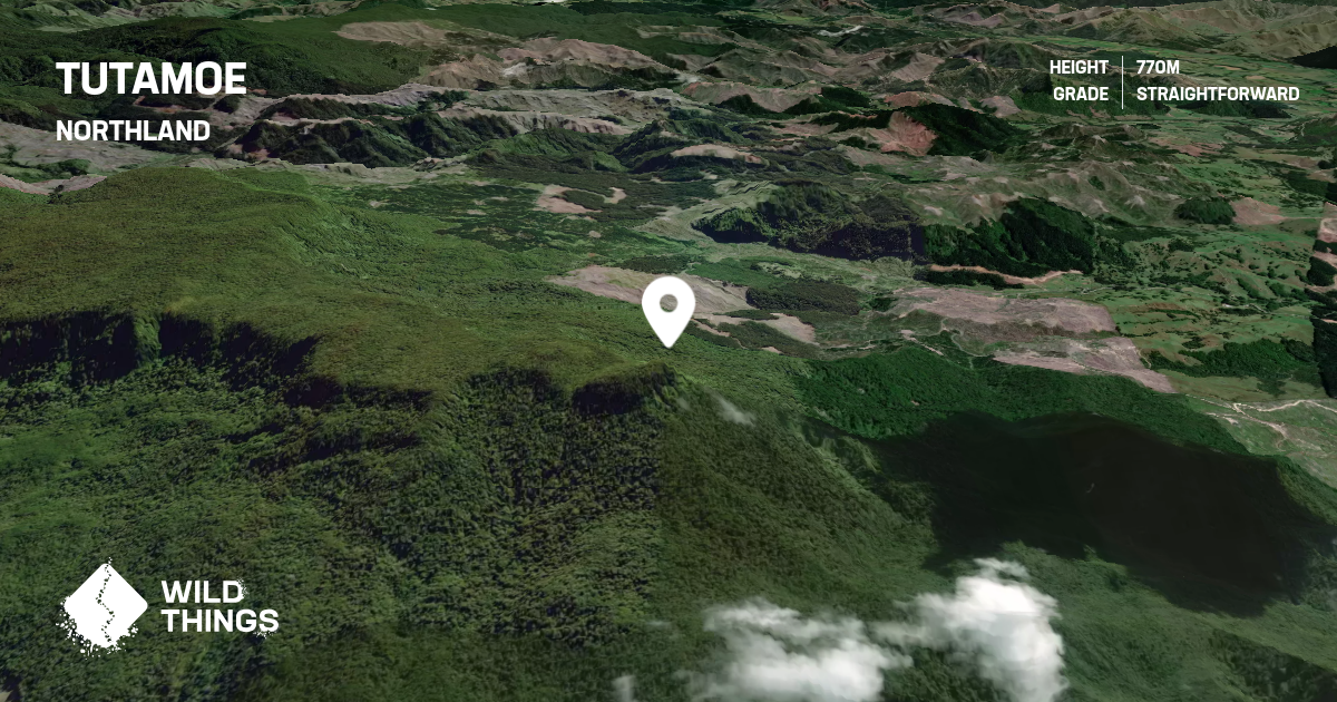 Tutamoe, Northland, New Zealand - Peak Directory - Wild Things