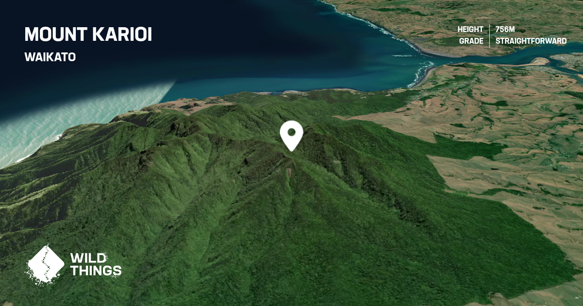 Mount Karioi, Waikato, New Zealand - Peak Directory - Wild Things