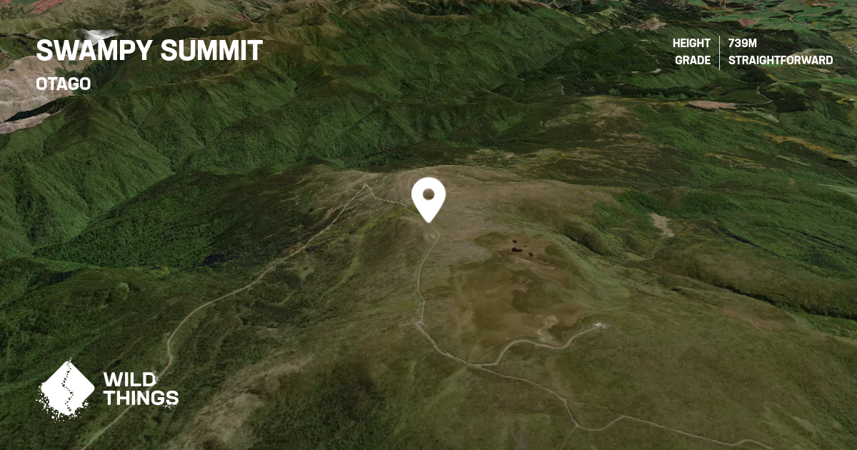 Swampy Summit, Otago, New Zealand - Peak Directory - Wild Things