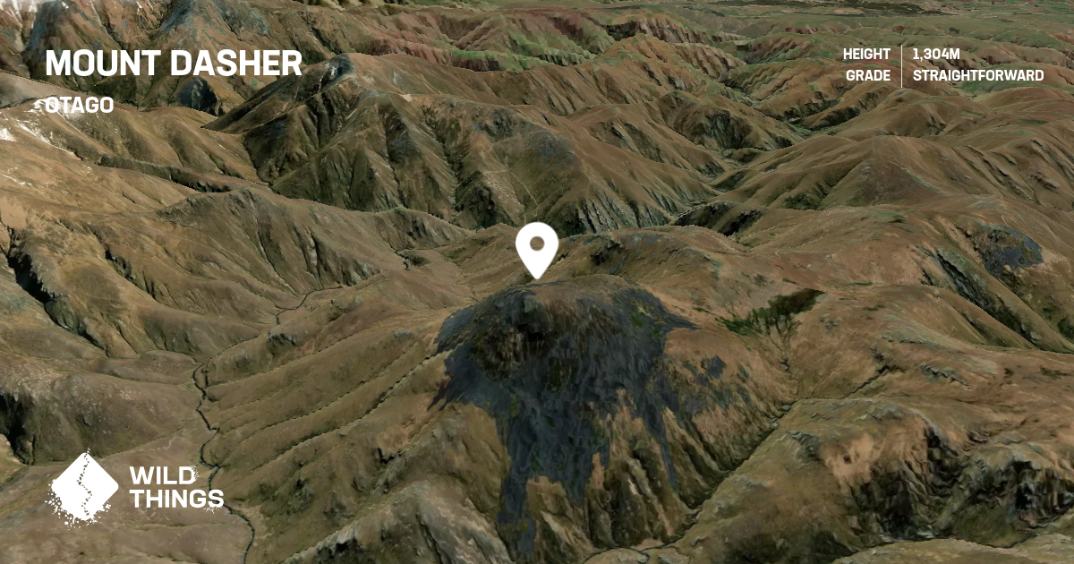 Mount Dasher, Otago, New Zealand - Peak Directory - Wild Things