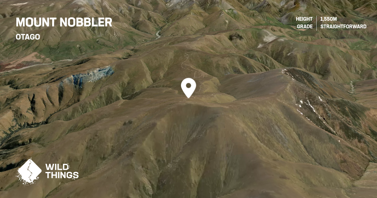 Mount Nobbler, Otago, New Zealand - Peak Directory - Wild Things