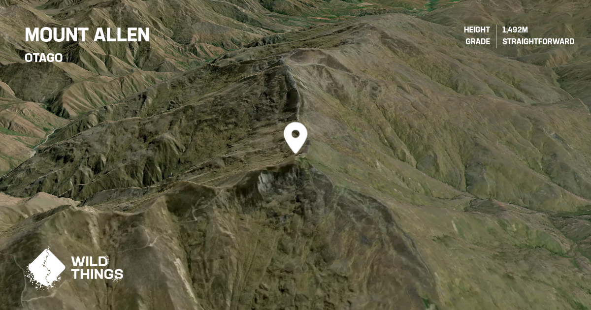 Mount Allen , Otago, New Zealand - Peak Directory - Wild Things