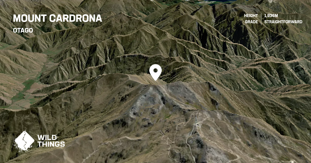 Mount Cardrona, Otago, New Zealand - Peak Directory - Wild Things