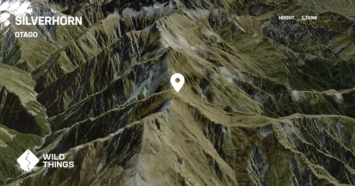 Silverhorn, Otago, New Zealand - Peak Directory - Wild Things