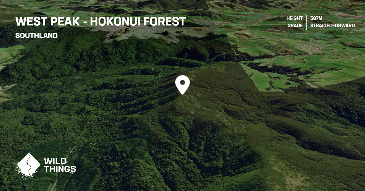 West Peak - Hokonui Forest, Southland, New Zealand - Peak Directory ...