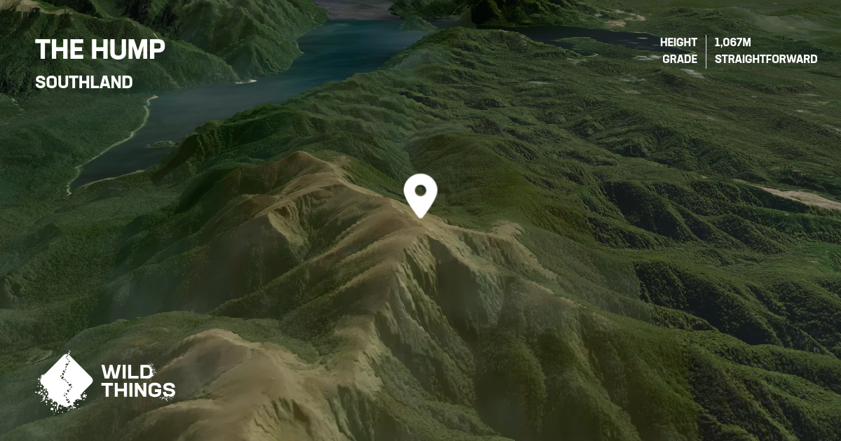 The Hump, Southland, New Zealand - Peak Directory - Wild Things