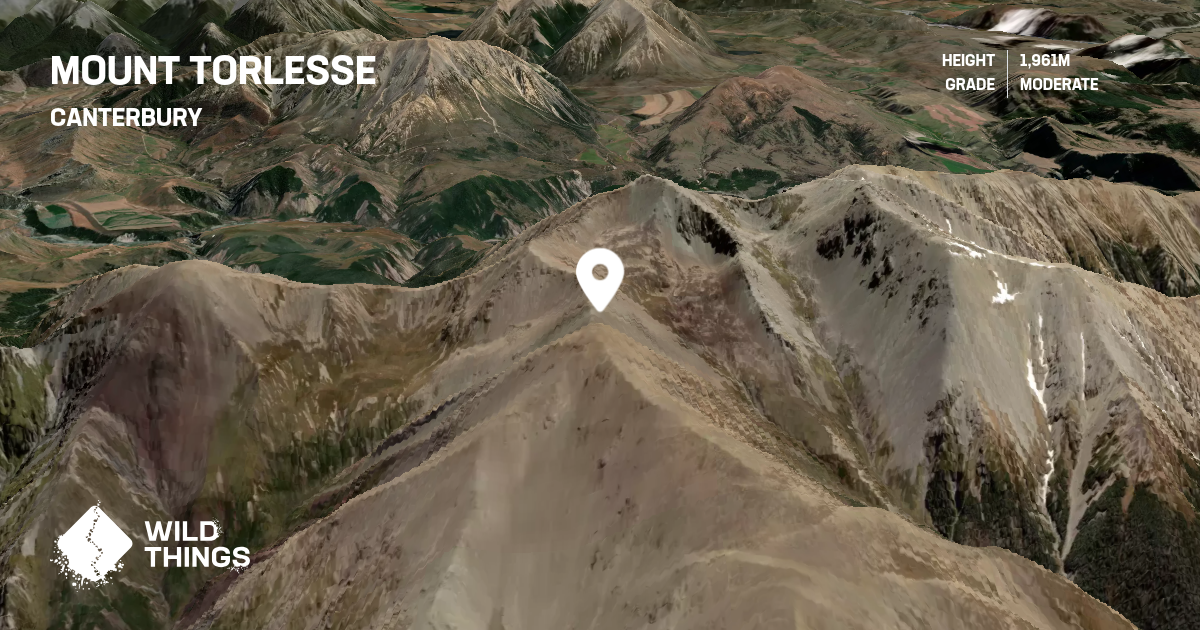 Mount Torlesse, Canterbury, New Zealand - Peak Directory - Wild Things