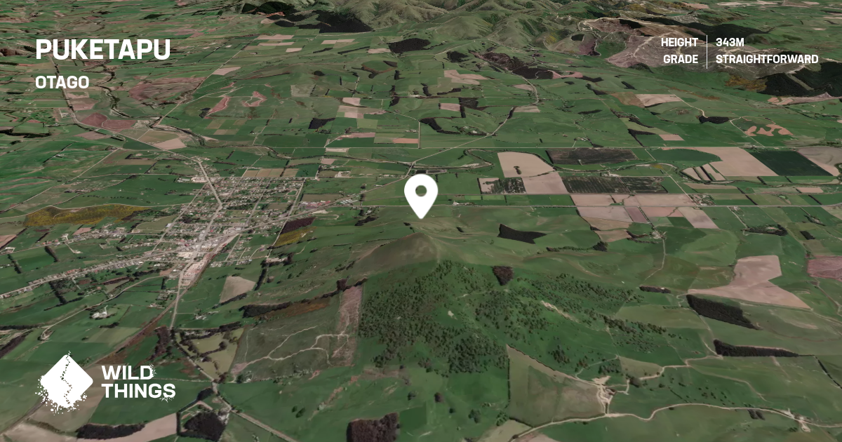 Puketapu, Otago, New Zealand - Peak Directory - Wild Things