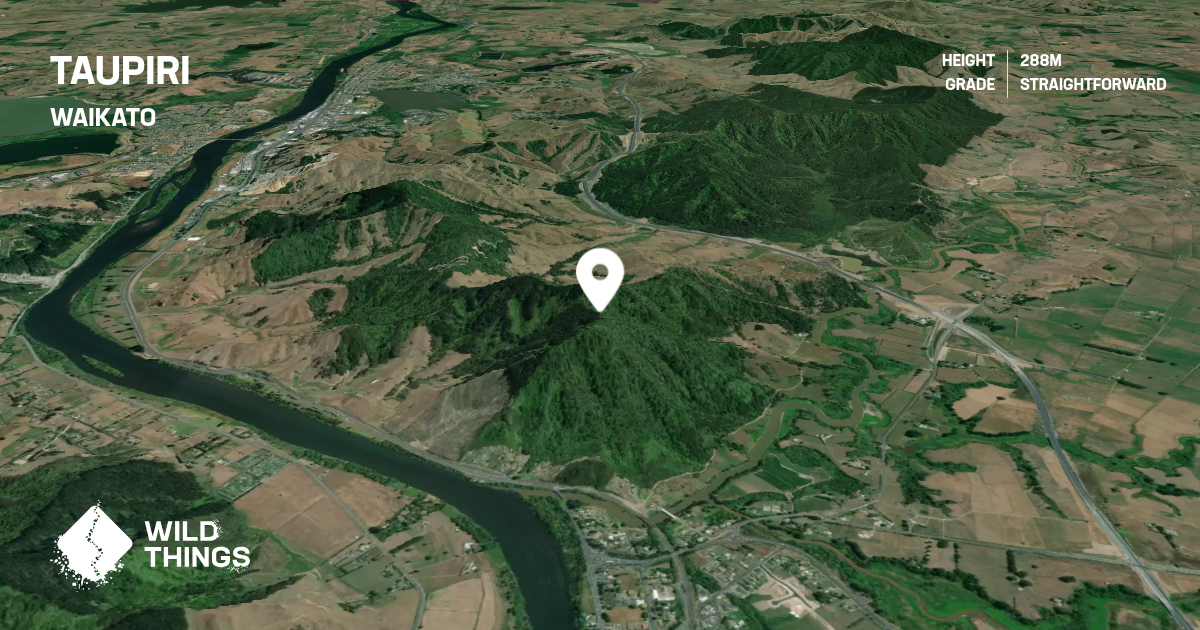 Taupiri, Waikato, New Zealand - Peak Directory - Wild Things