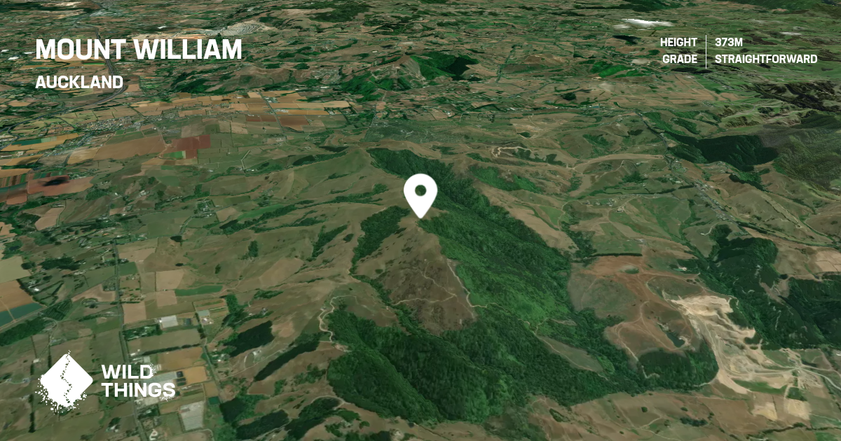 Mount William, Auckland, New Zealand - Peak Directory - Wild Things