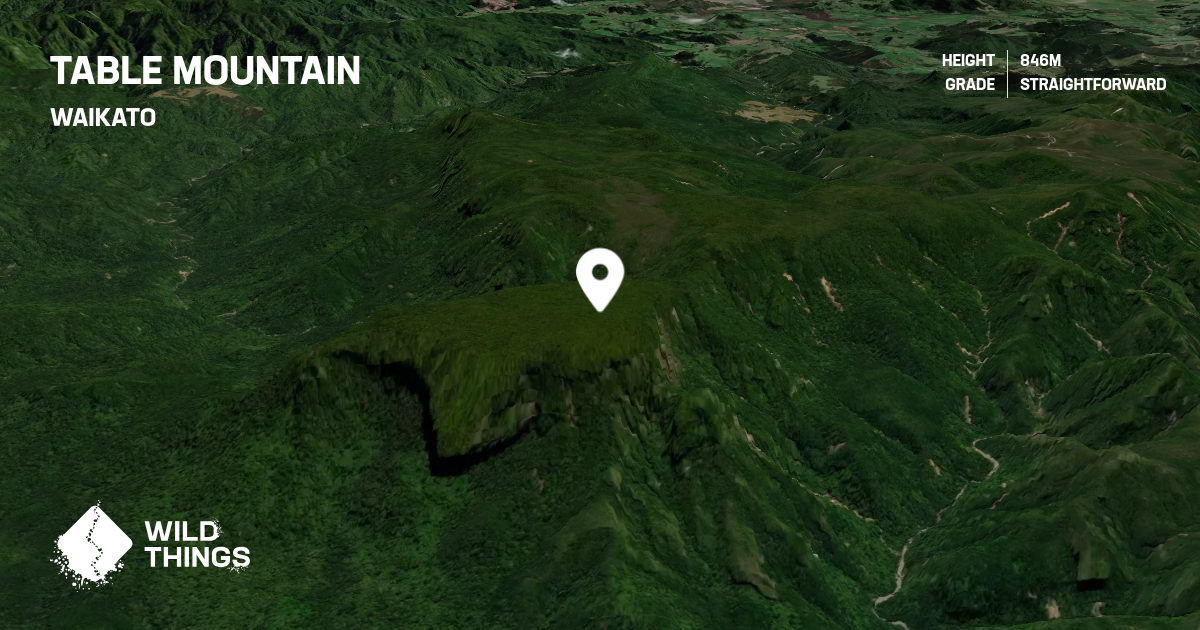 Table Mountain, Waikato, New Zealand - Peak Directory - Wild Things