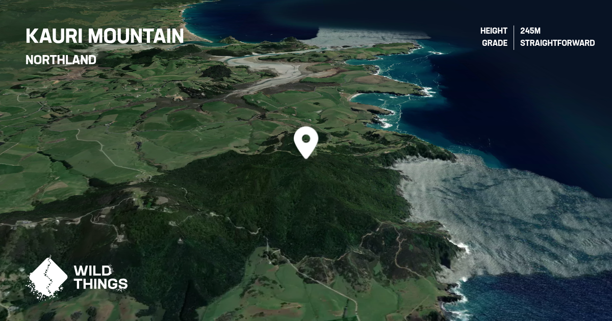 Kauri Mountain, Northland, New Zealand - Peak Directory - Wild Things