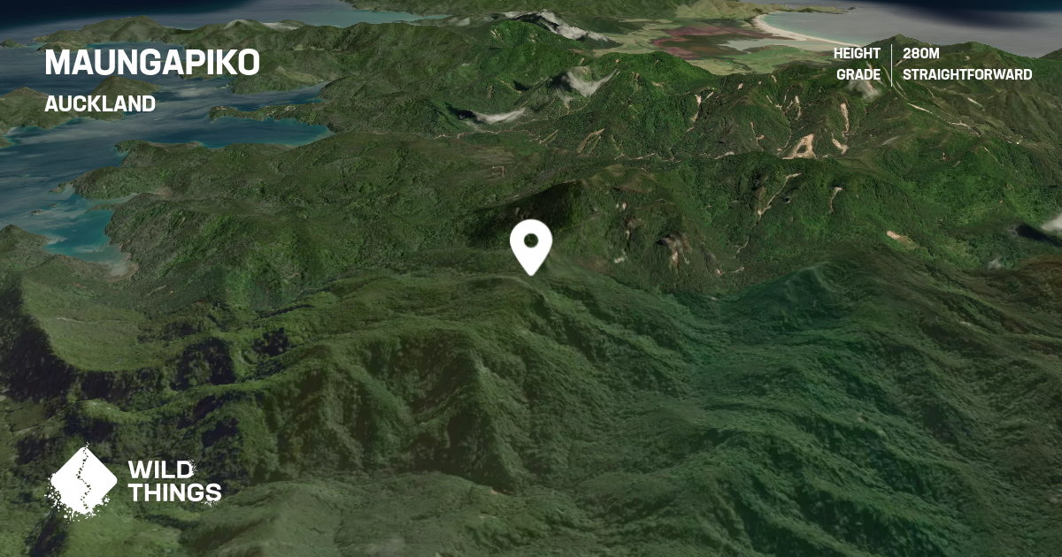 Maungapiko, Auckland, New Zealand - Peak Directory - Wild Things